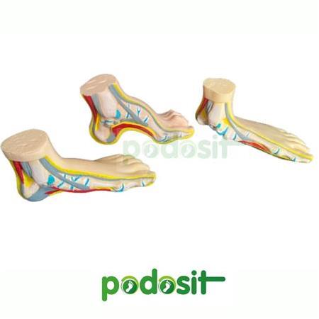 Podoloji malzemeleri, Podoloji kabinleri - Podosit